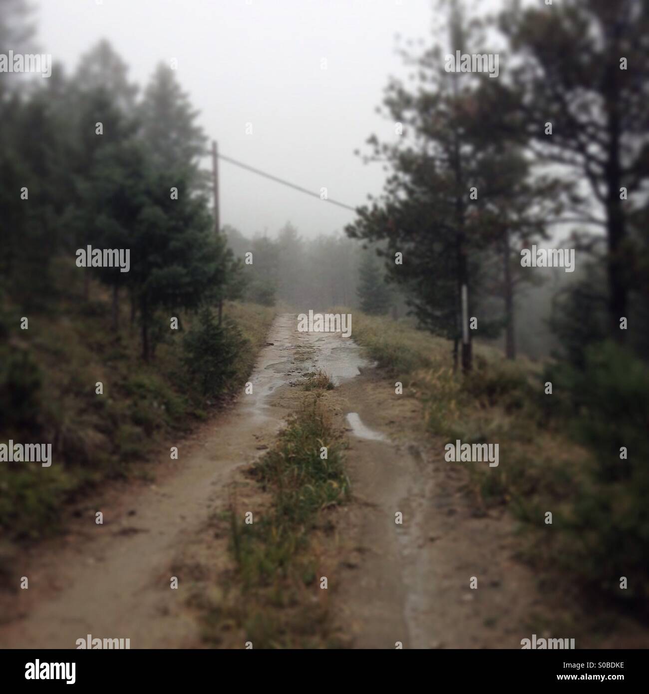 Creepy weather hi-res stock photography and images - Alamy