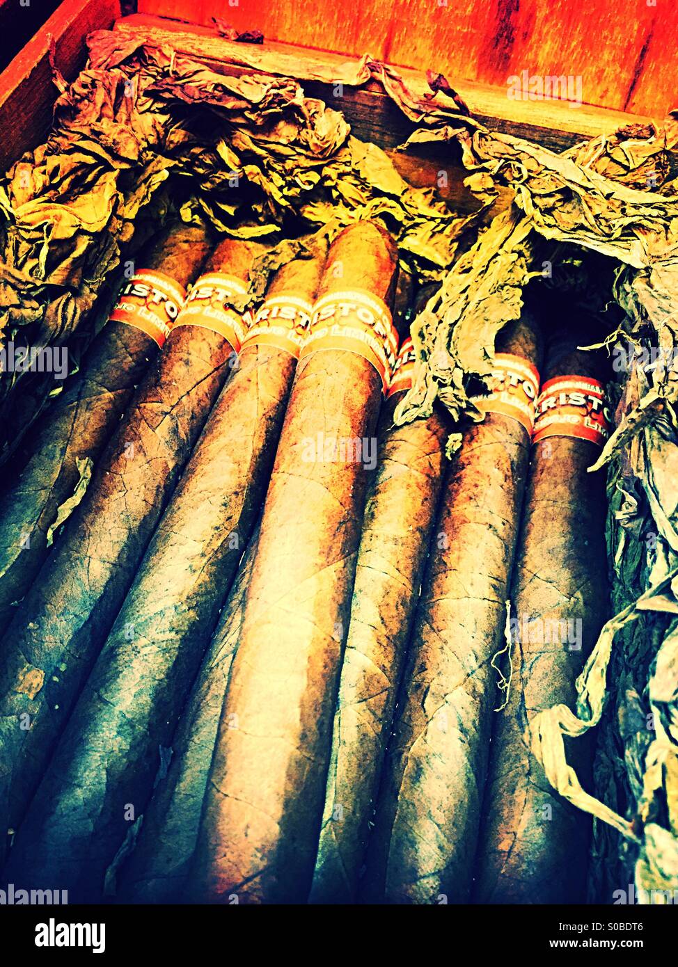 Box of cigars Stock Photo - Alamy