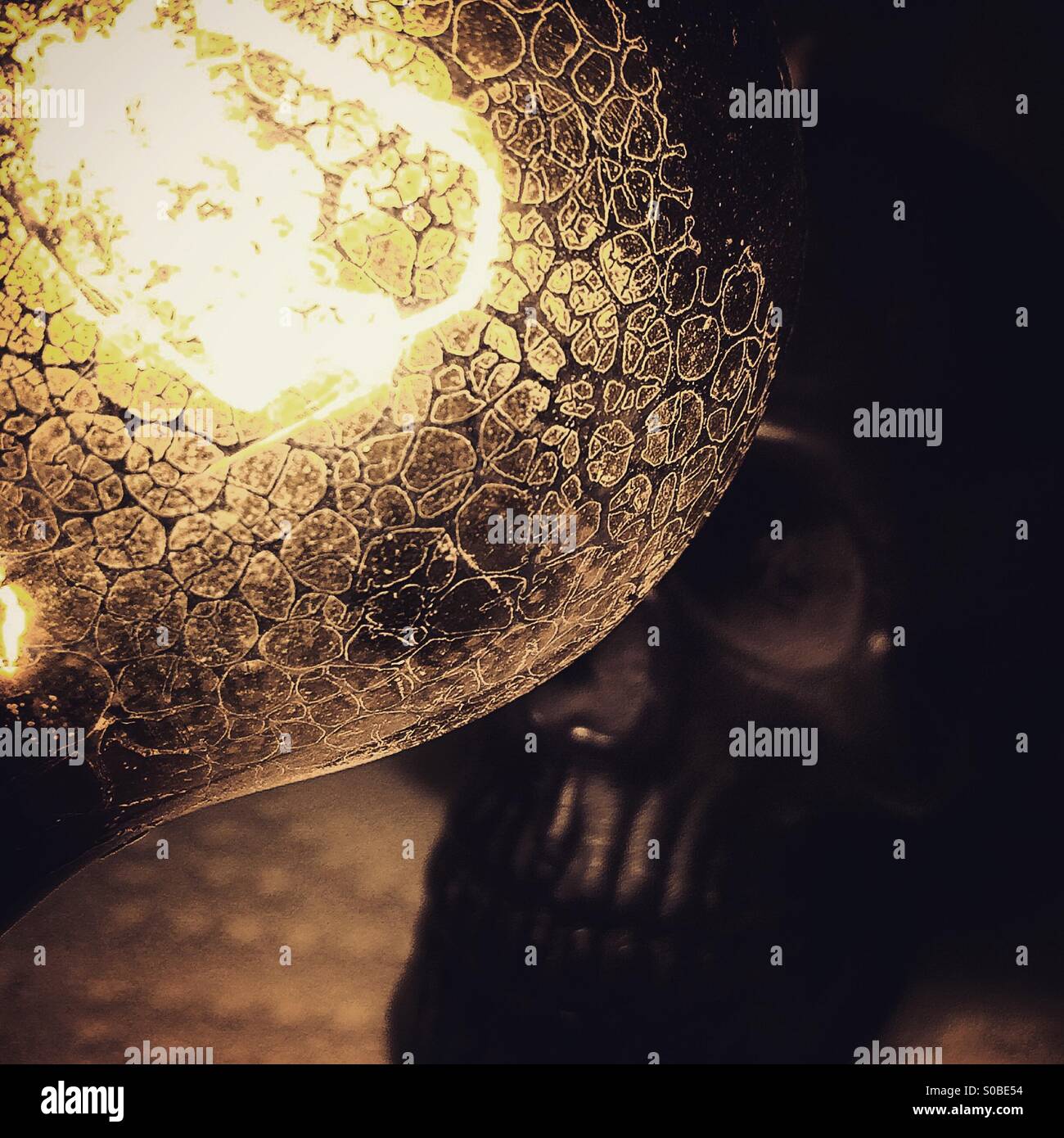 Skull Light High Resolution Stock Photography and Images - Alamy