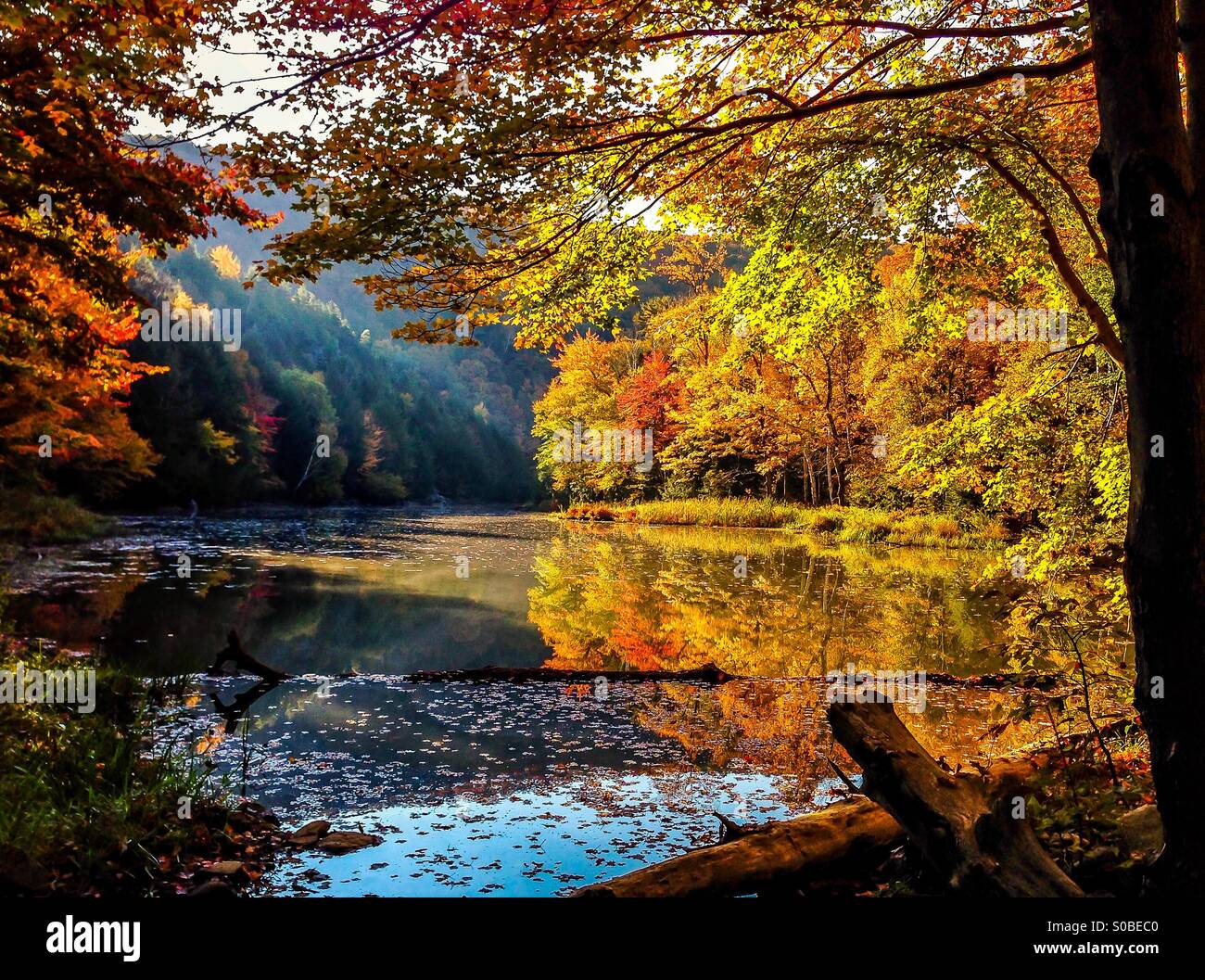Vermont pond and colors hi-res stock photography and images - Alamy
