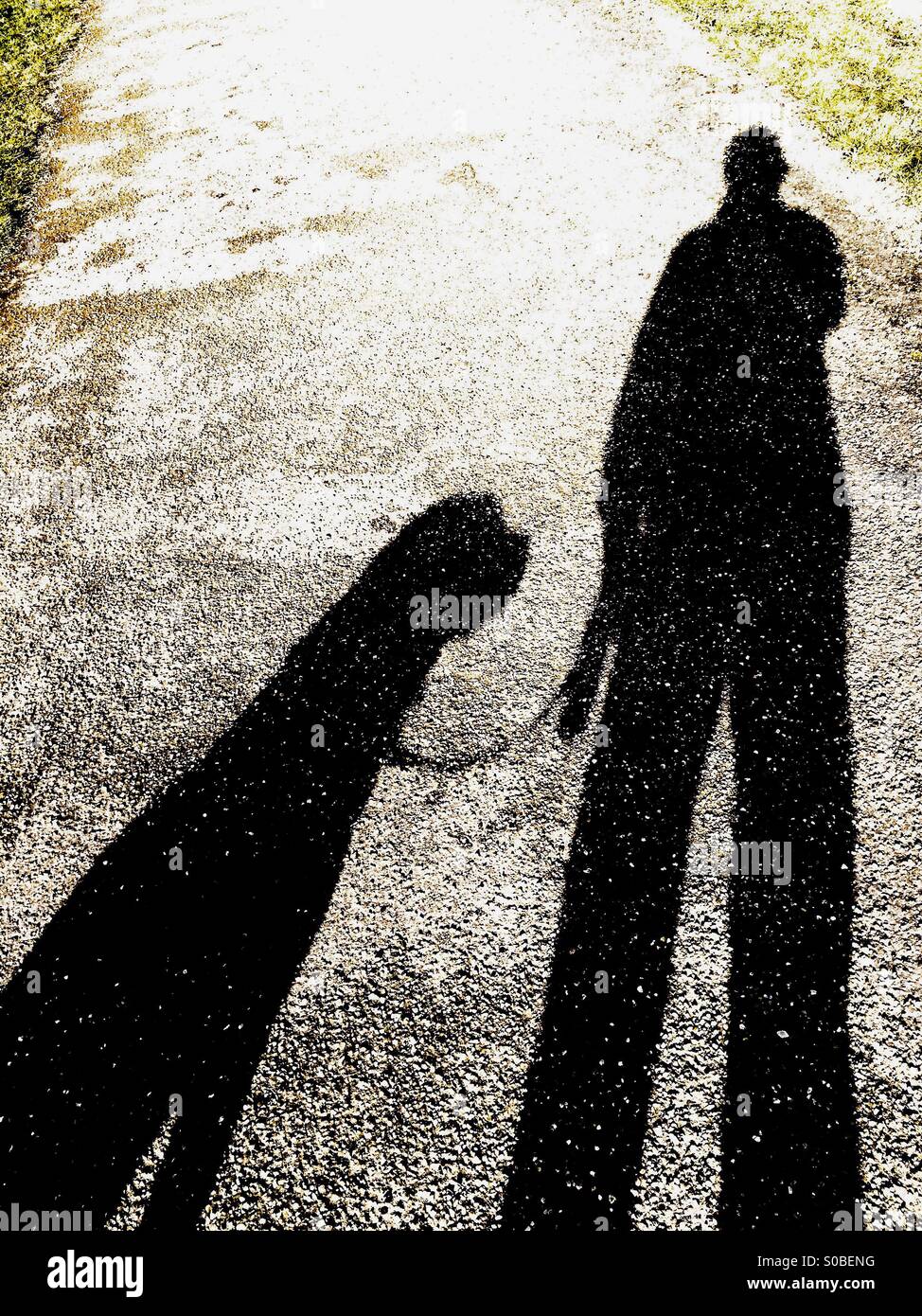 Shadows of man walking dog with leash Stock Photo - Alamy