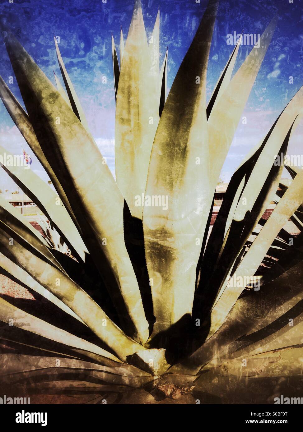 Danger plant hi-res stock photography and images - Alamy