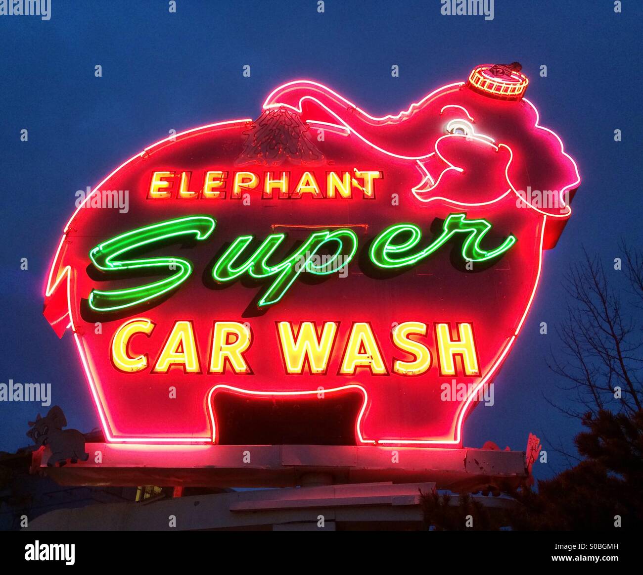 Neon sign, classic, Elephant Car Wash, built in 1956, Seattle ...