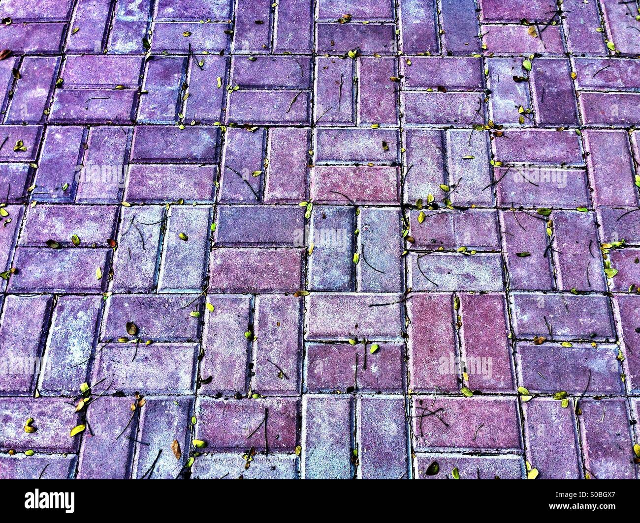 Sidewalk bricks hi-res stock photography and images - Alamy