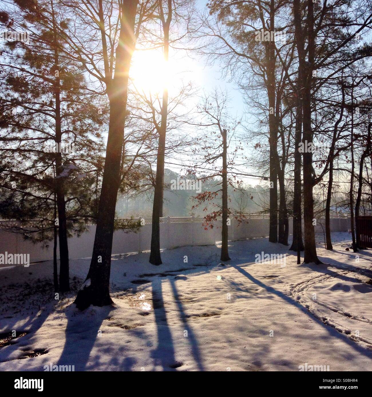 Sunshine in a back yard Stock Photo - Alamy