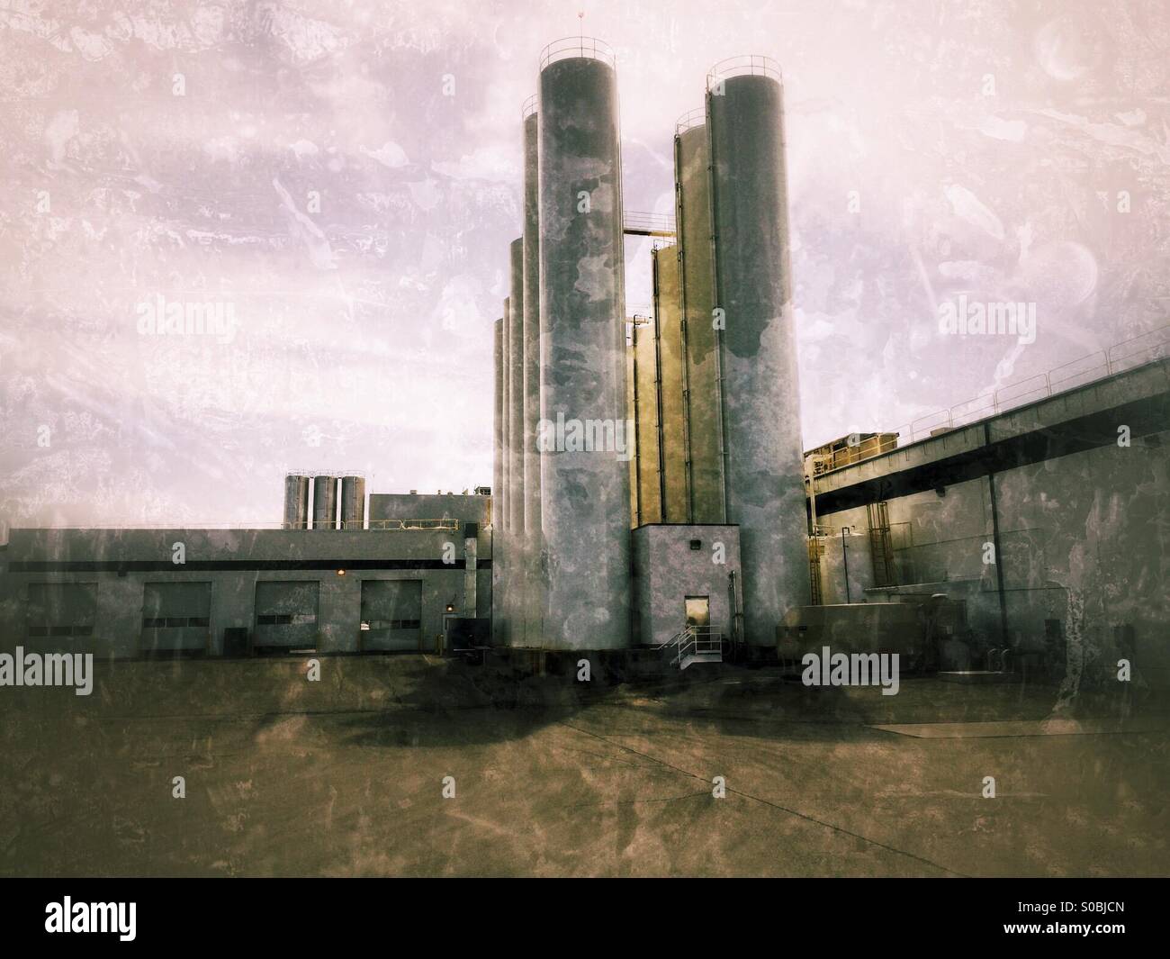 Cheese processing plant Stock Photo - Alamy