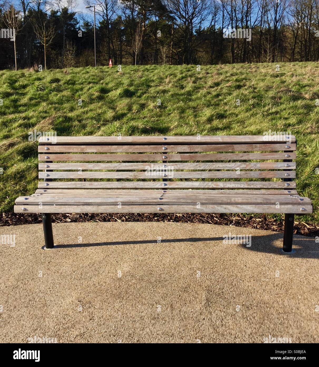 Spring bank wood hi-res stock photography and images - Alamy