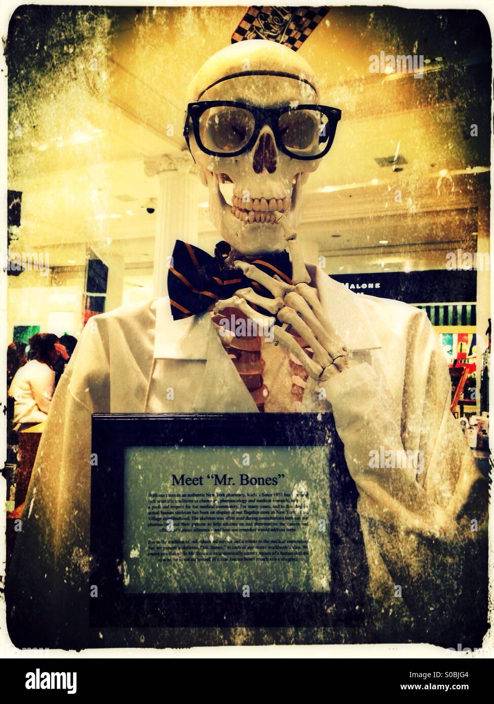 Skeleton wearing glasses hi-res stock photography and images - Alamy