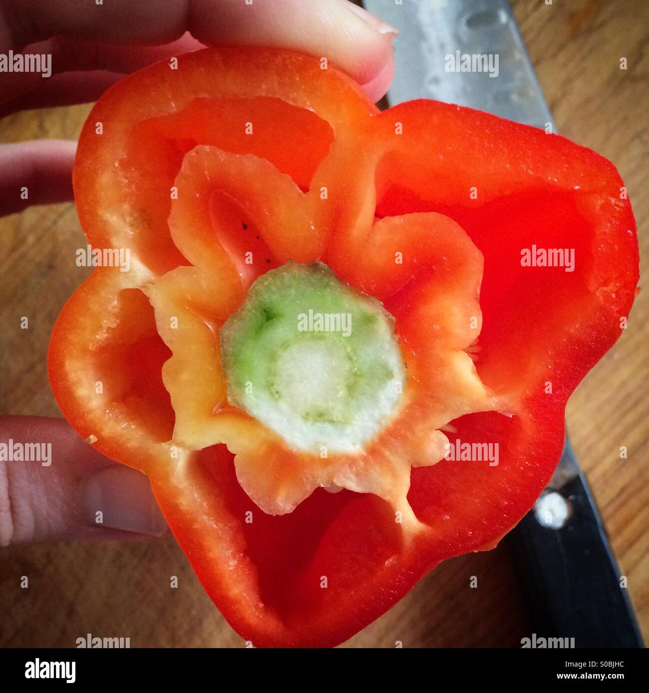 Pepper flower hi-res stock photography and images - Alamy