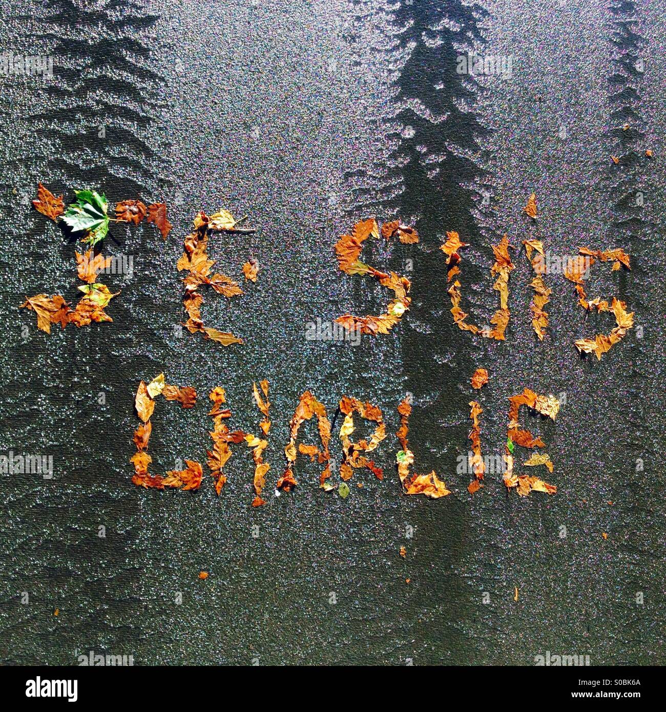 Je suis charlie sign hi-res stock photography and images - Alamy
