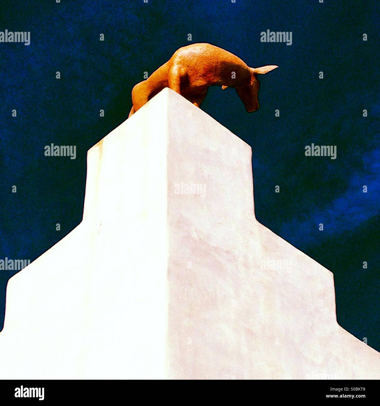 White bull cow hi-res stock photography and images - Alamy