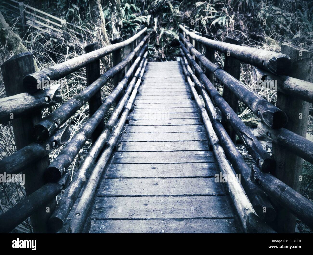 Wooden bridge in the forest Stock Photo - Alamy