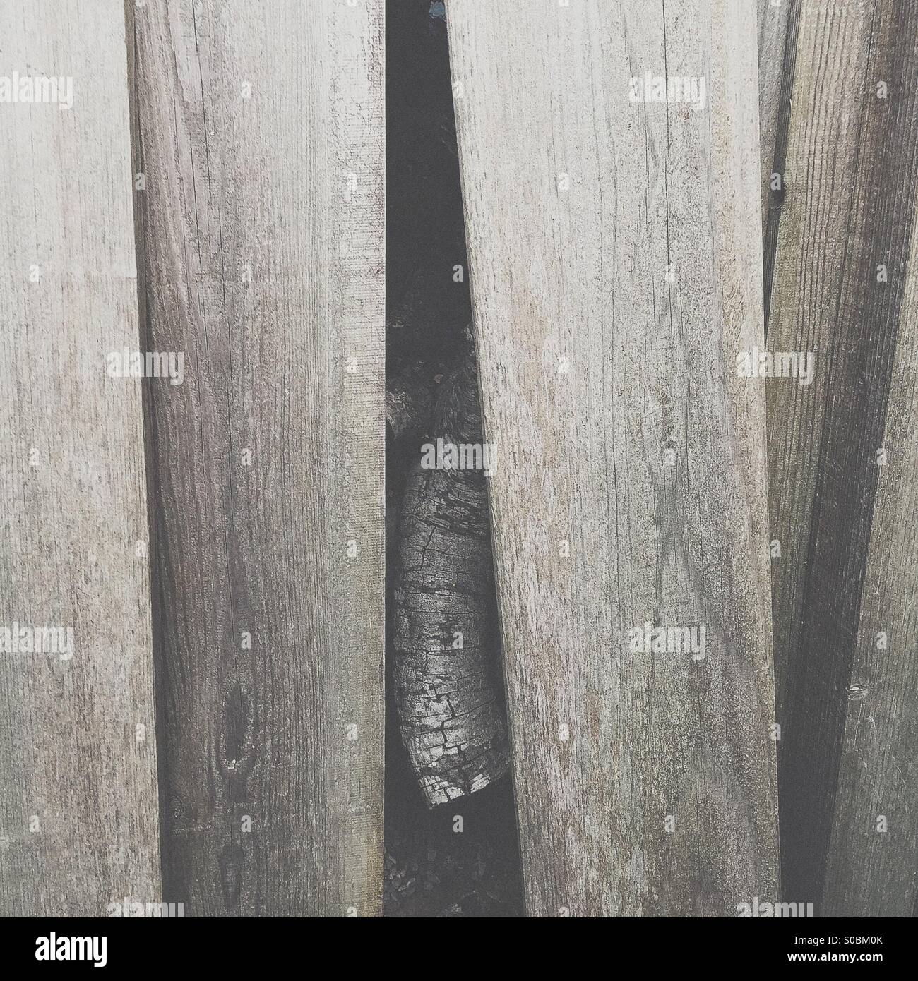 Log plank hi-res stock photography and images - Alamy