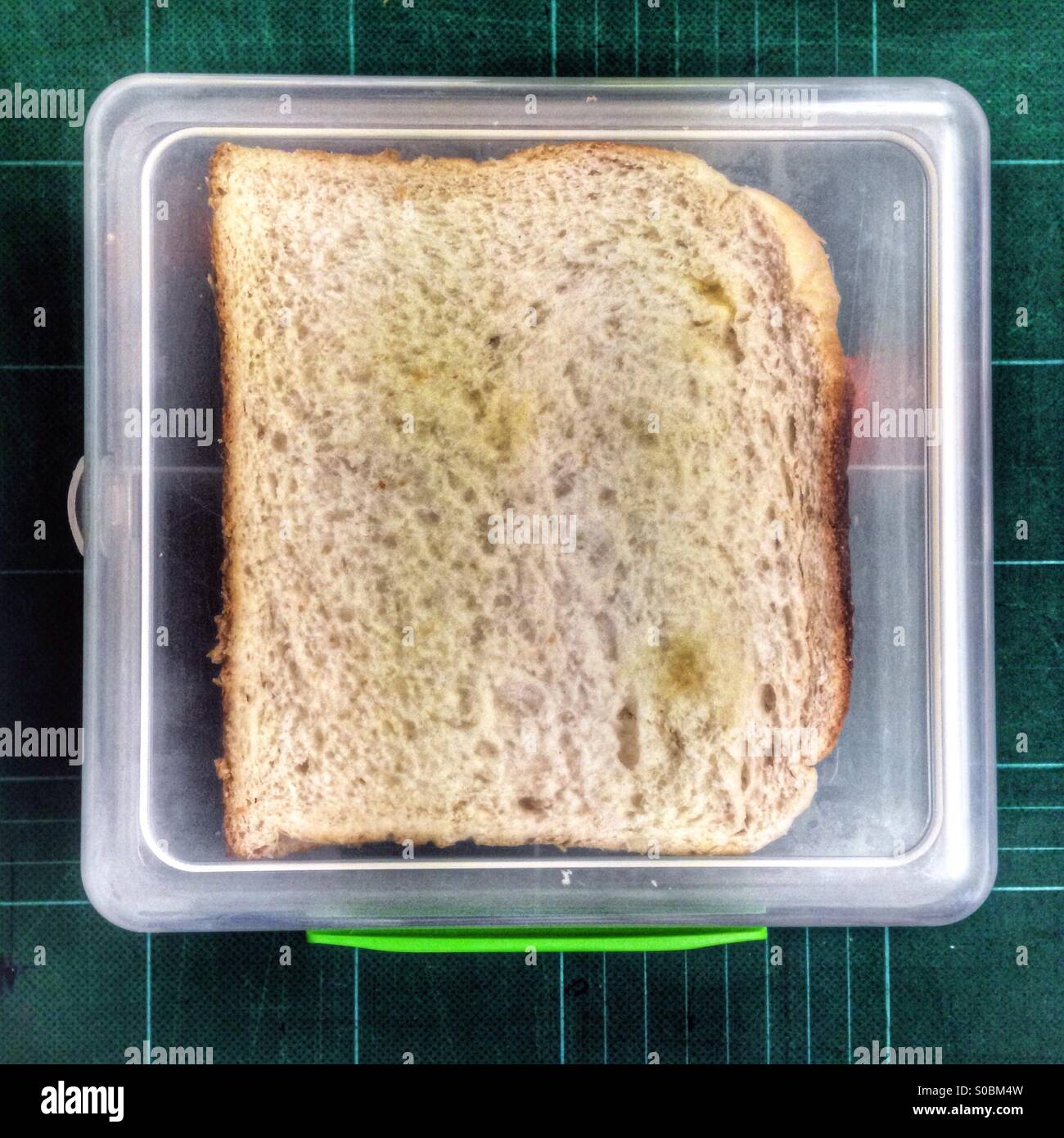 Lunch box plastic meal hi-res stock photography and images - Alamy