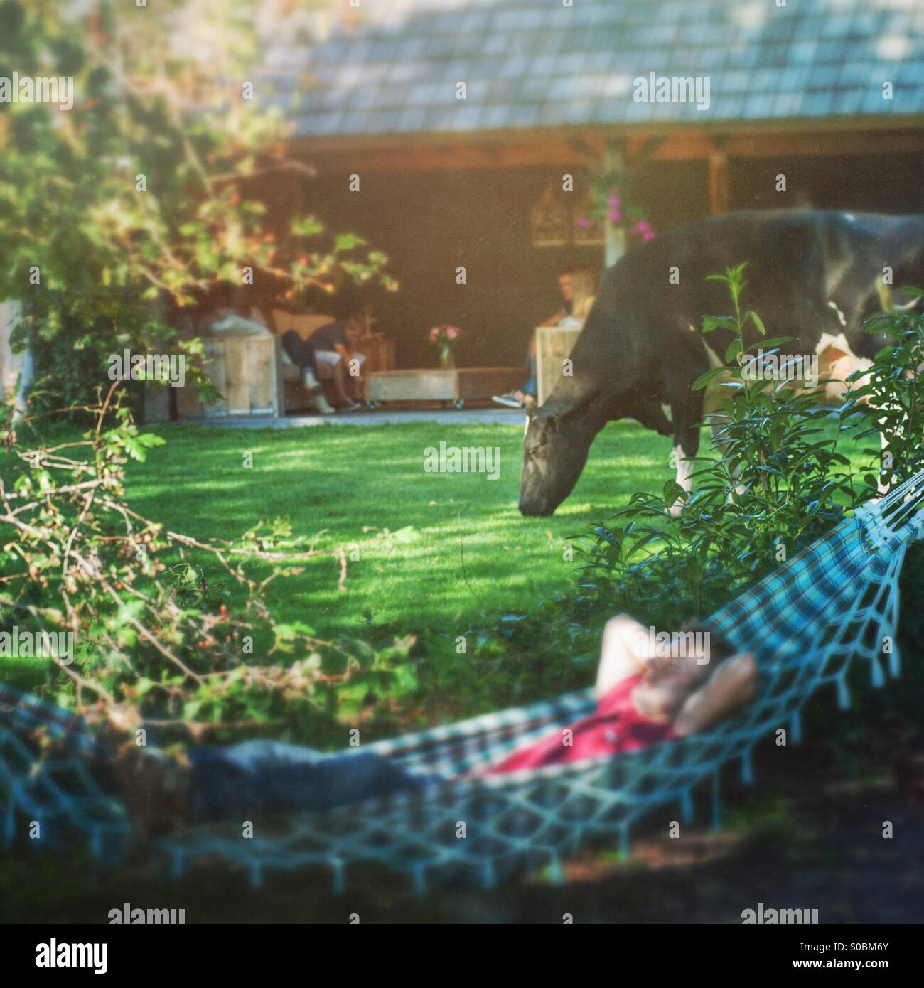 Garden nap hi-res stock photography and images - Alamy