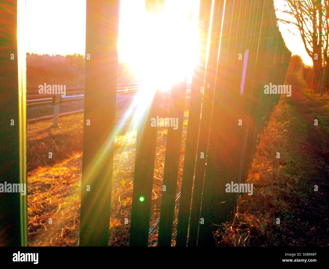 Sun through a fence Stock Photo - Alamy