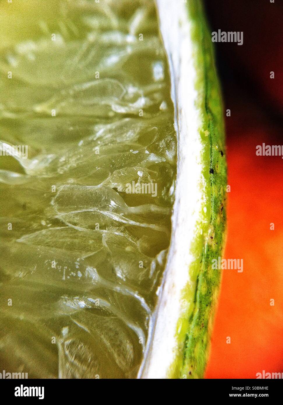 Major of cut lime fruit Stock Photo - Alamy