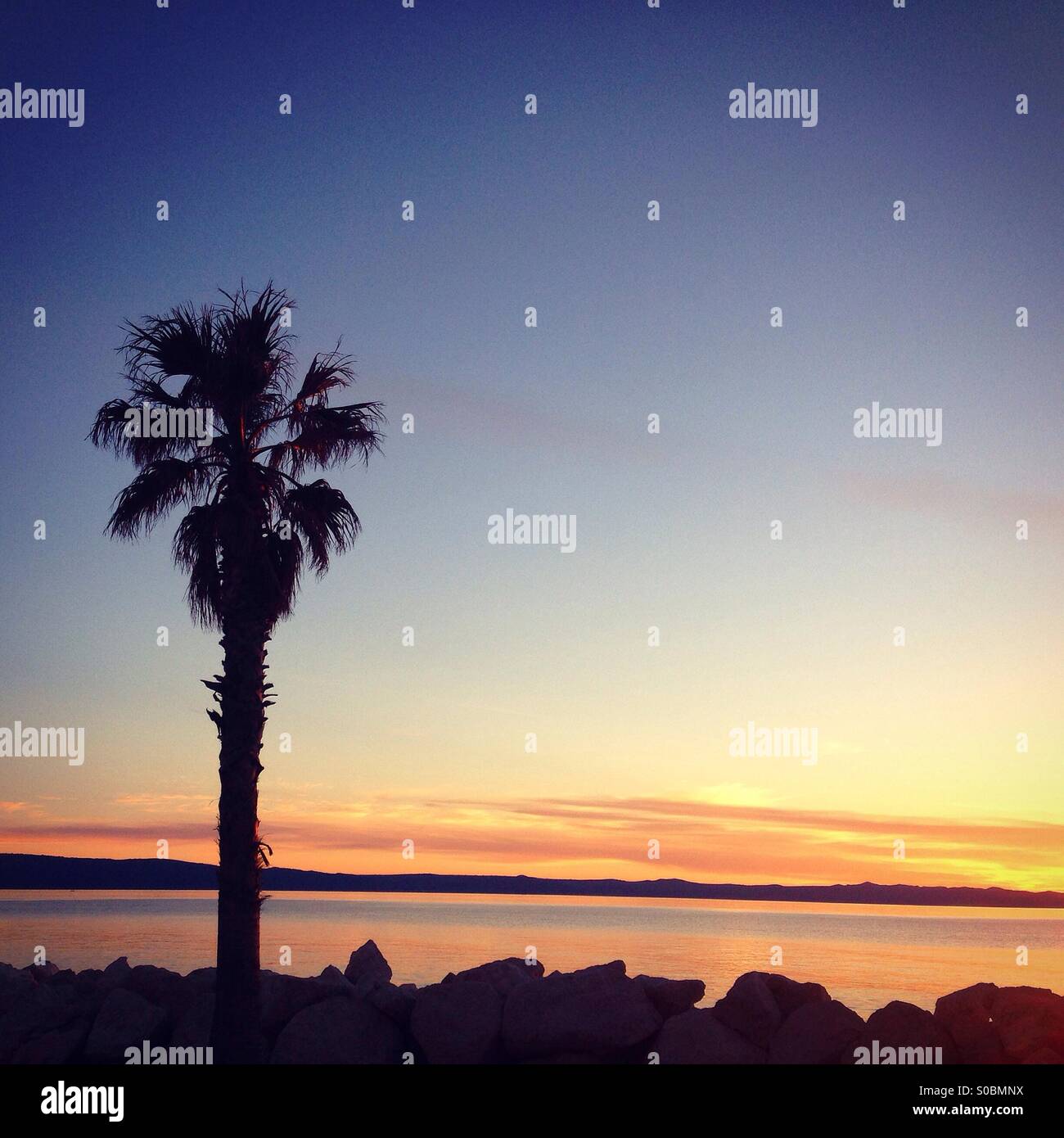Palm tree in sunset with island in background Stock Photo - Alamy