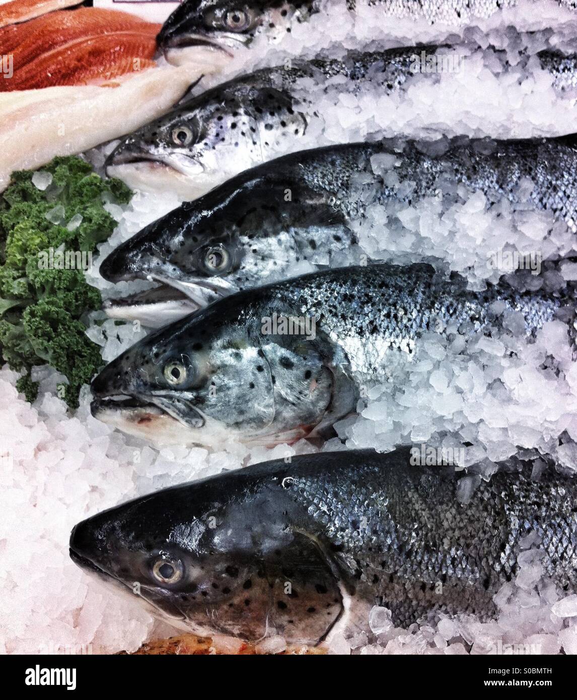 Supermarket fish counter uk hi-res stock photography and images - Alamy