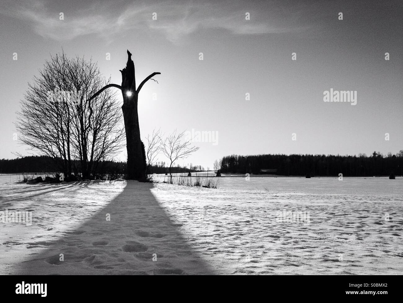 Scary landscape hi-res stock photography and images - Alamy