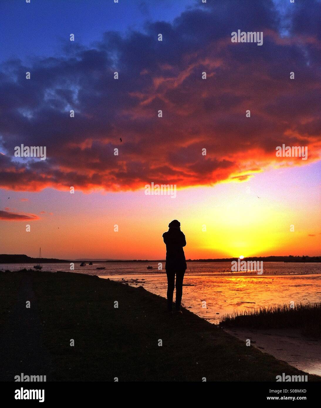 Girl watching sunset hi-res stock photography and images - Alamy