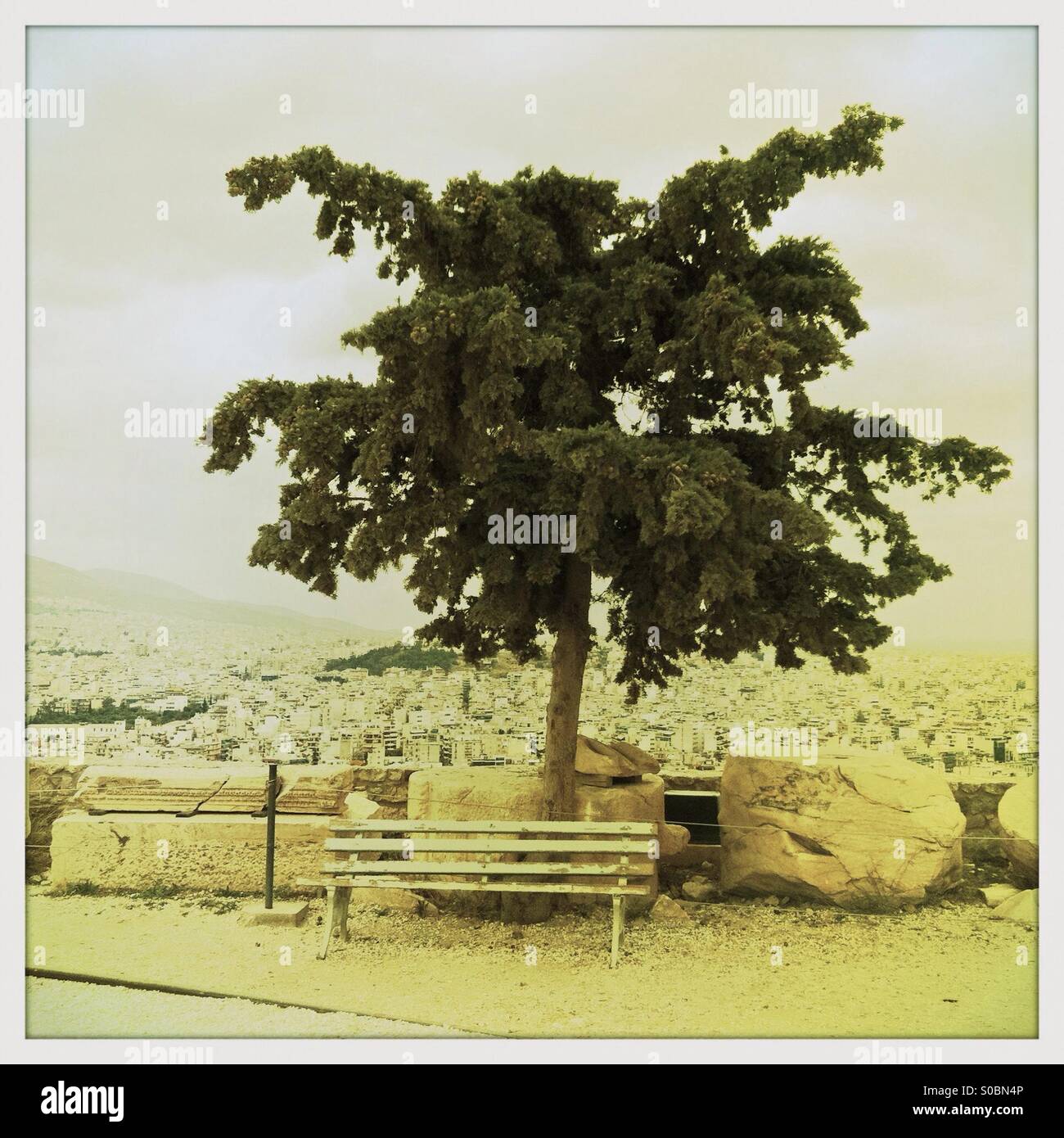 Tree with bench overlooking Athens, Greece Stock Photo - Alamy