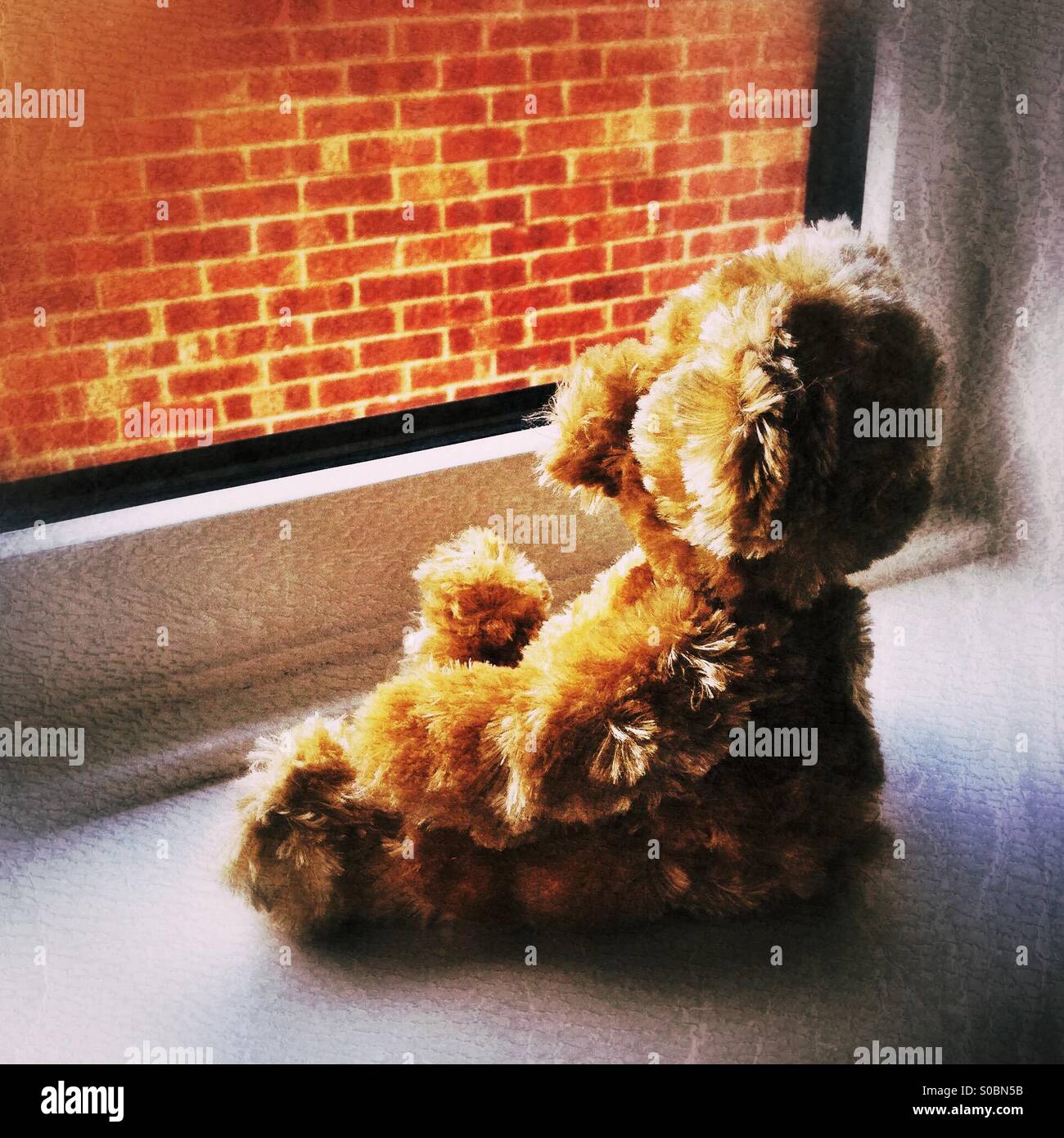 Teddy bear sat on window sill facing brick wall Stock Photo - Alamy