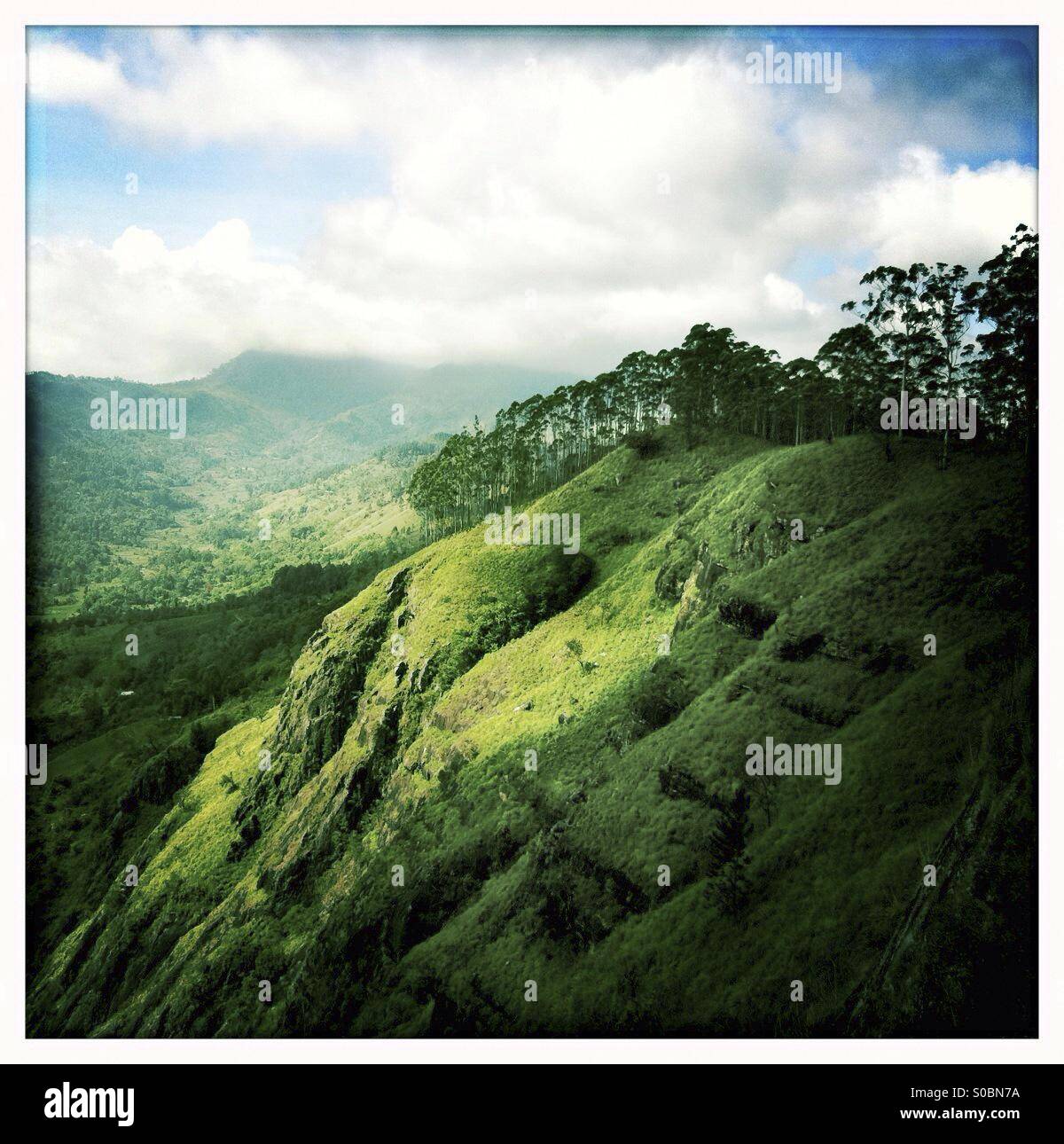 Ella sri lanka forest in hi-res stock photography and images - Alamy
