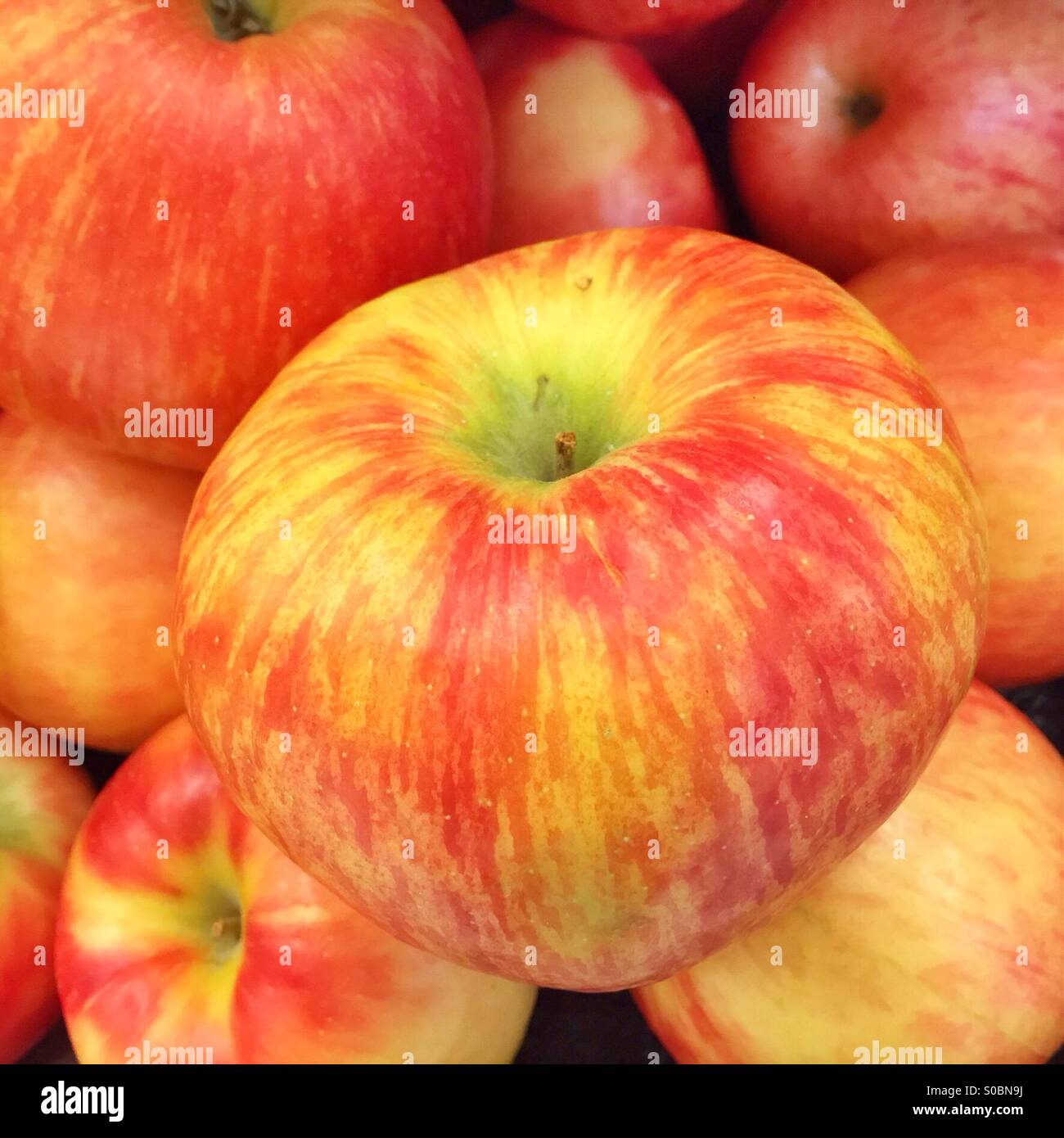 Pretty striped apple Stock Photo - Alamy