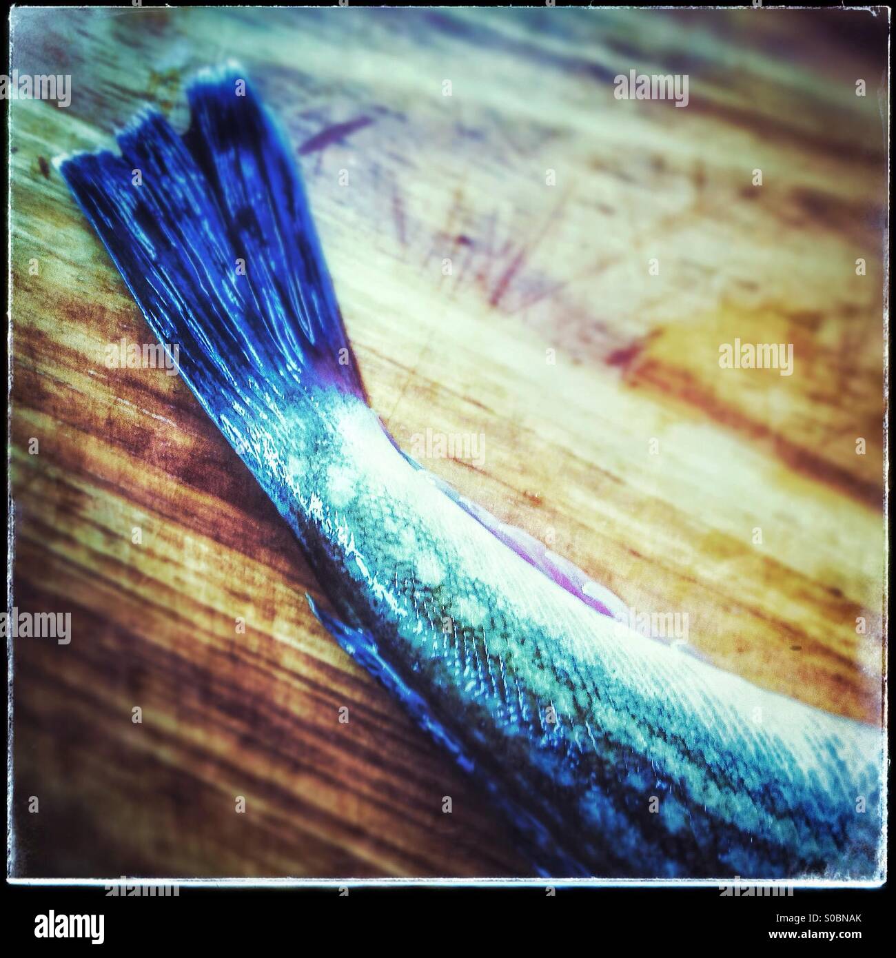 Fish tail on wooden table background Stock Photo - Alamy