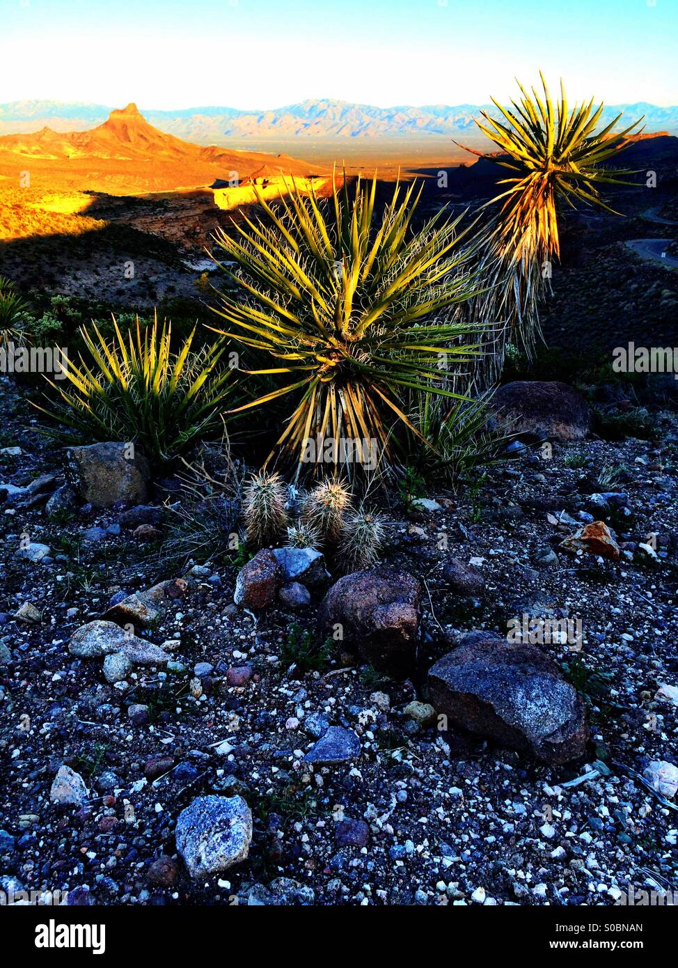 Nothing arizona hi-res stock photography and images - Alamy