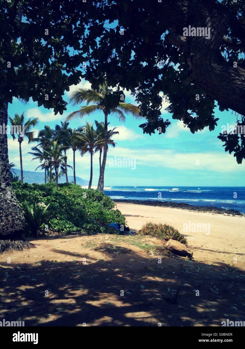 Tropics paradise hi-res stock photography and images - Alamy