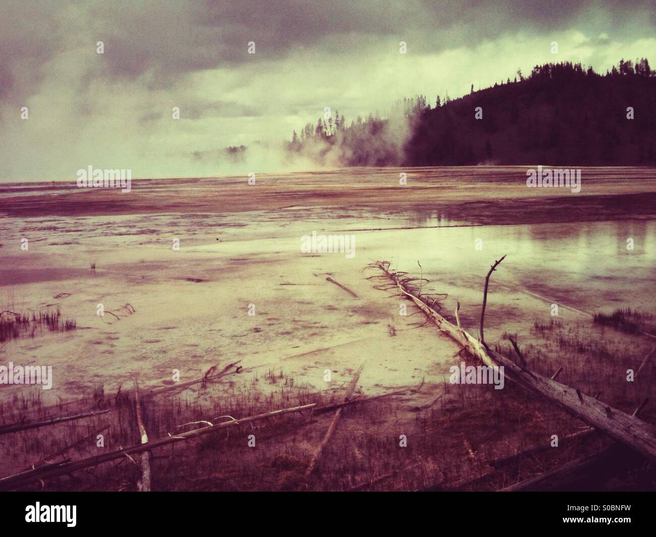 Acidic lake with geysers in Yellowstone national park Stock Photo - Alamy