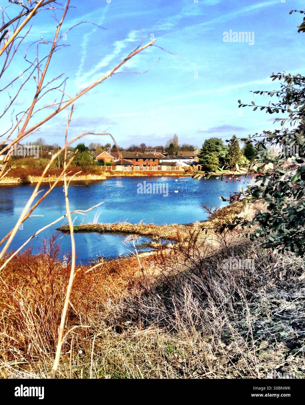 Woolston eyes hi-res stock photography and images - Alamy