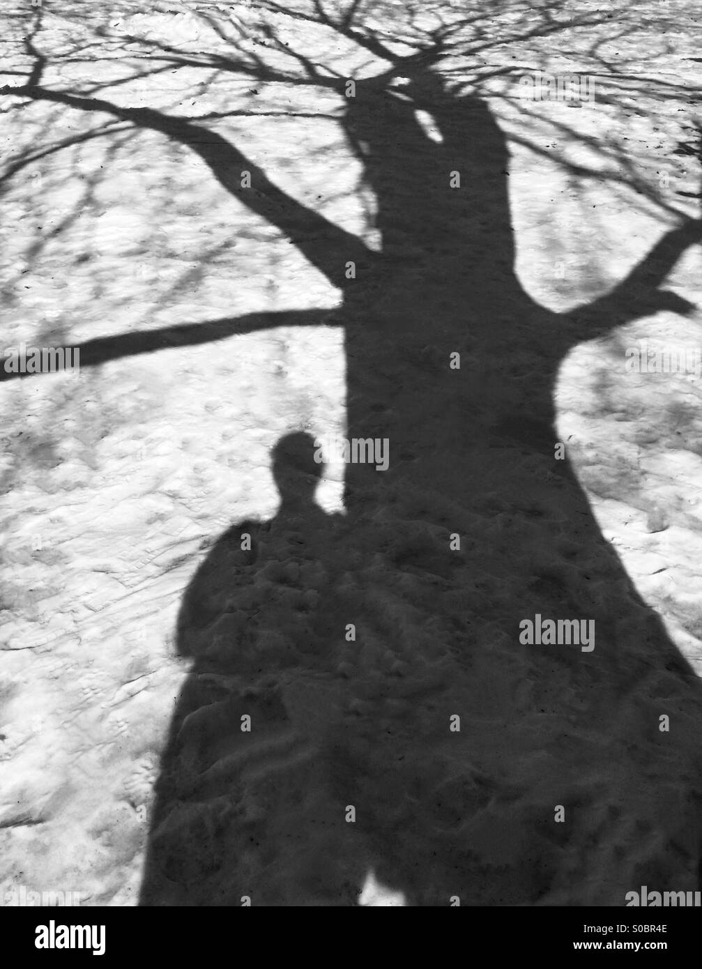 Tall shadows Black and White Stock Photos & Images - Alamy