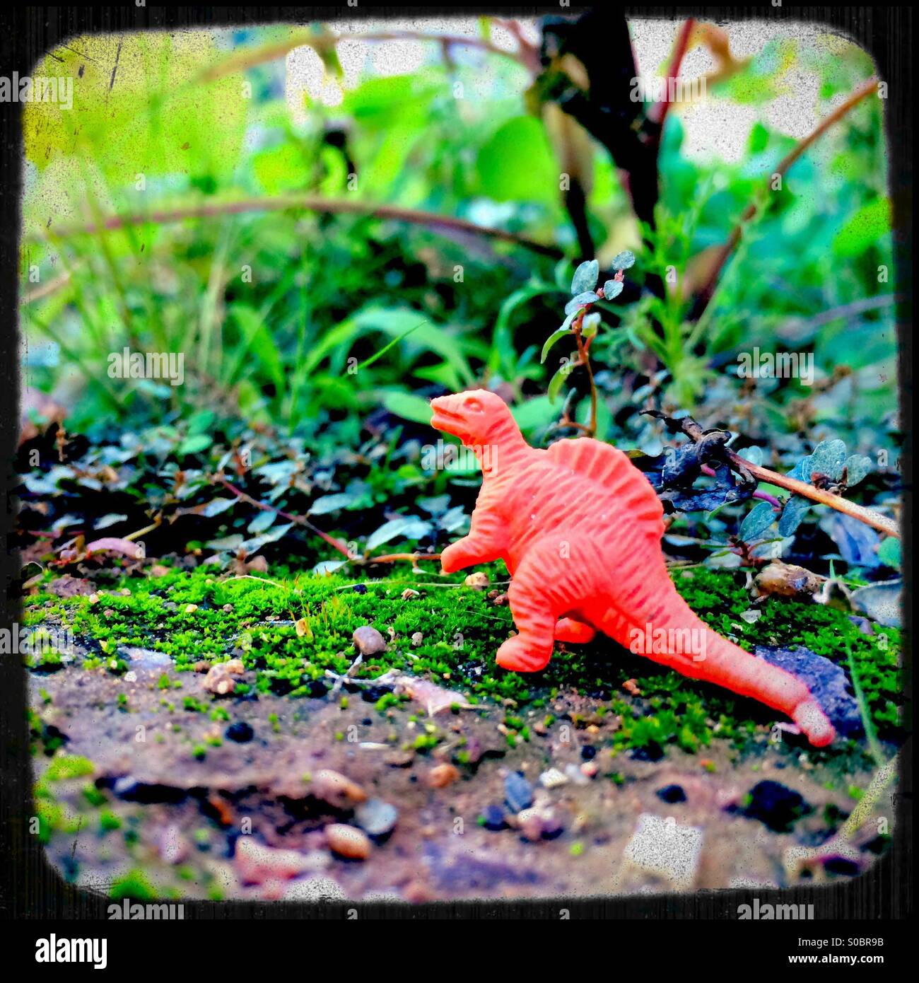 Rawr hi-res stock photography and images - Alamy