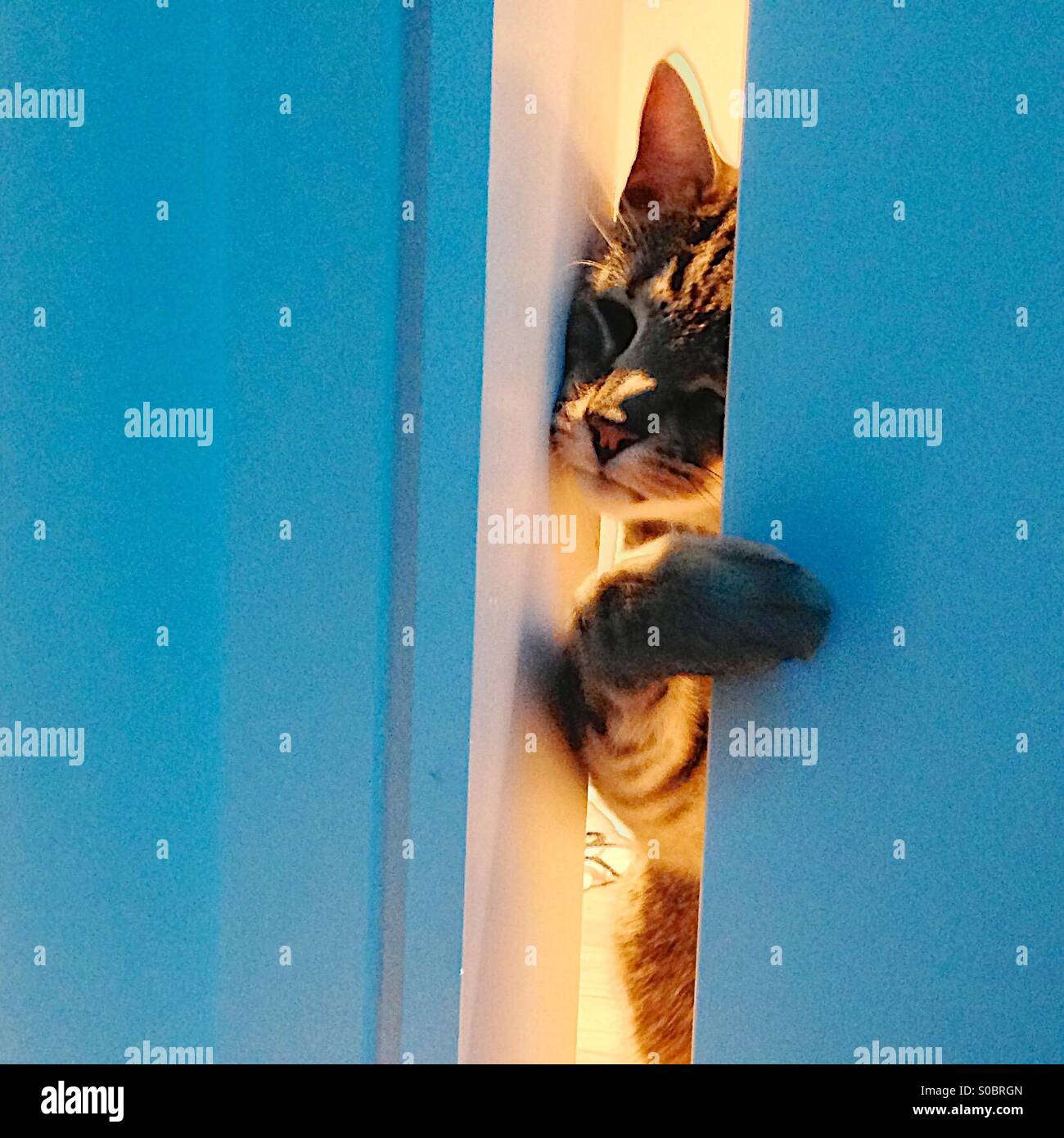 Finally out of the closet Stock Photo - Alamy