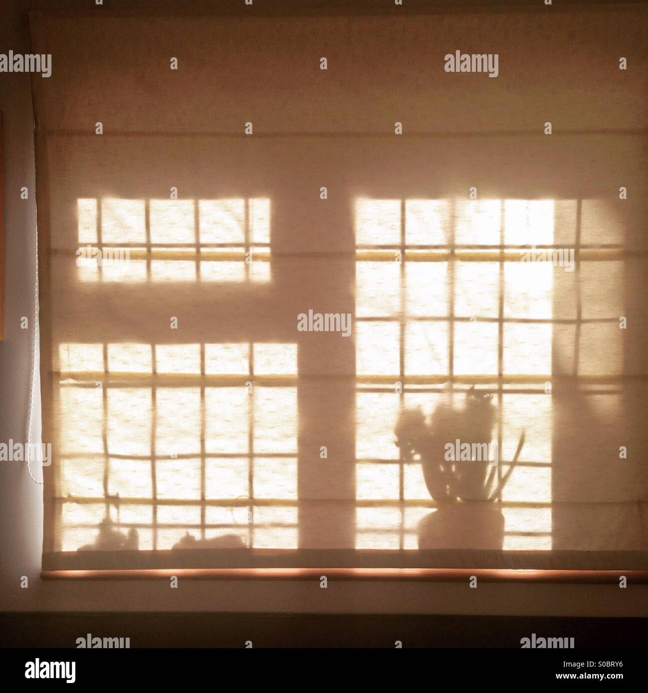 Sunlight through window blinds Stock Photo - Alamy