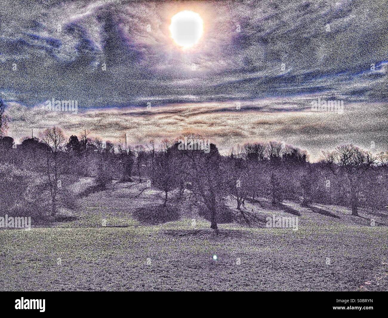 Tree filled park hi-res stock photography and images - Alamy