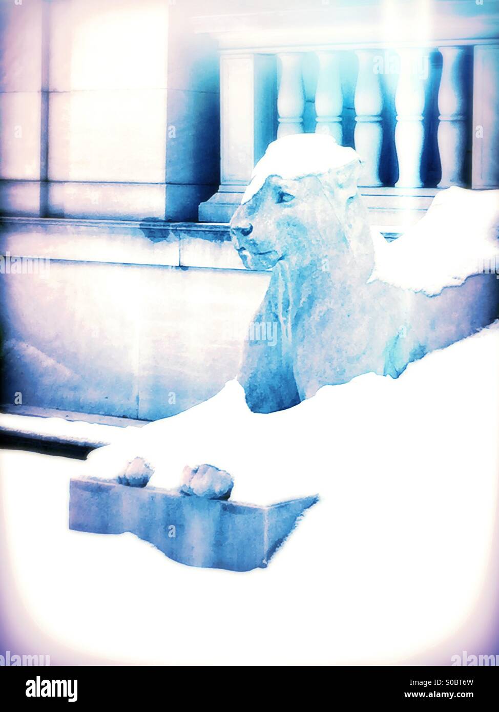 Sculpture lion covered snow hi-res stock photography and images - Alamy