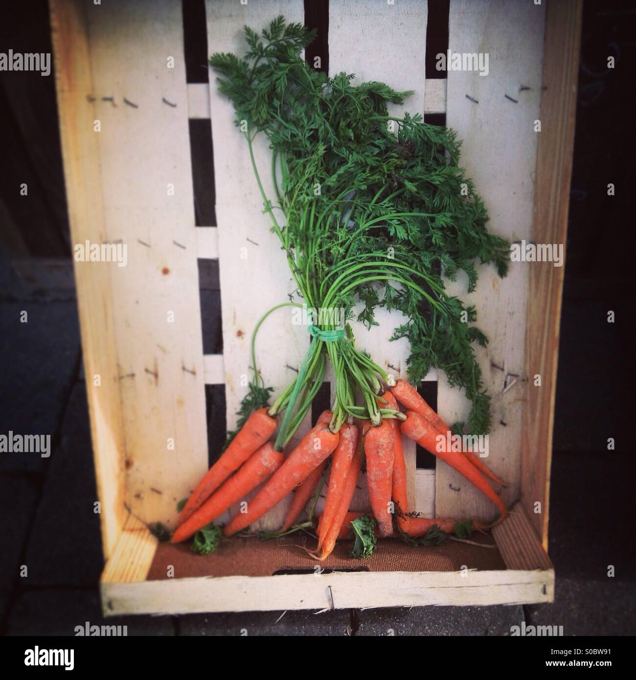 Carrots in a box hi-res stock photography and images - Alamy
