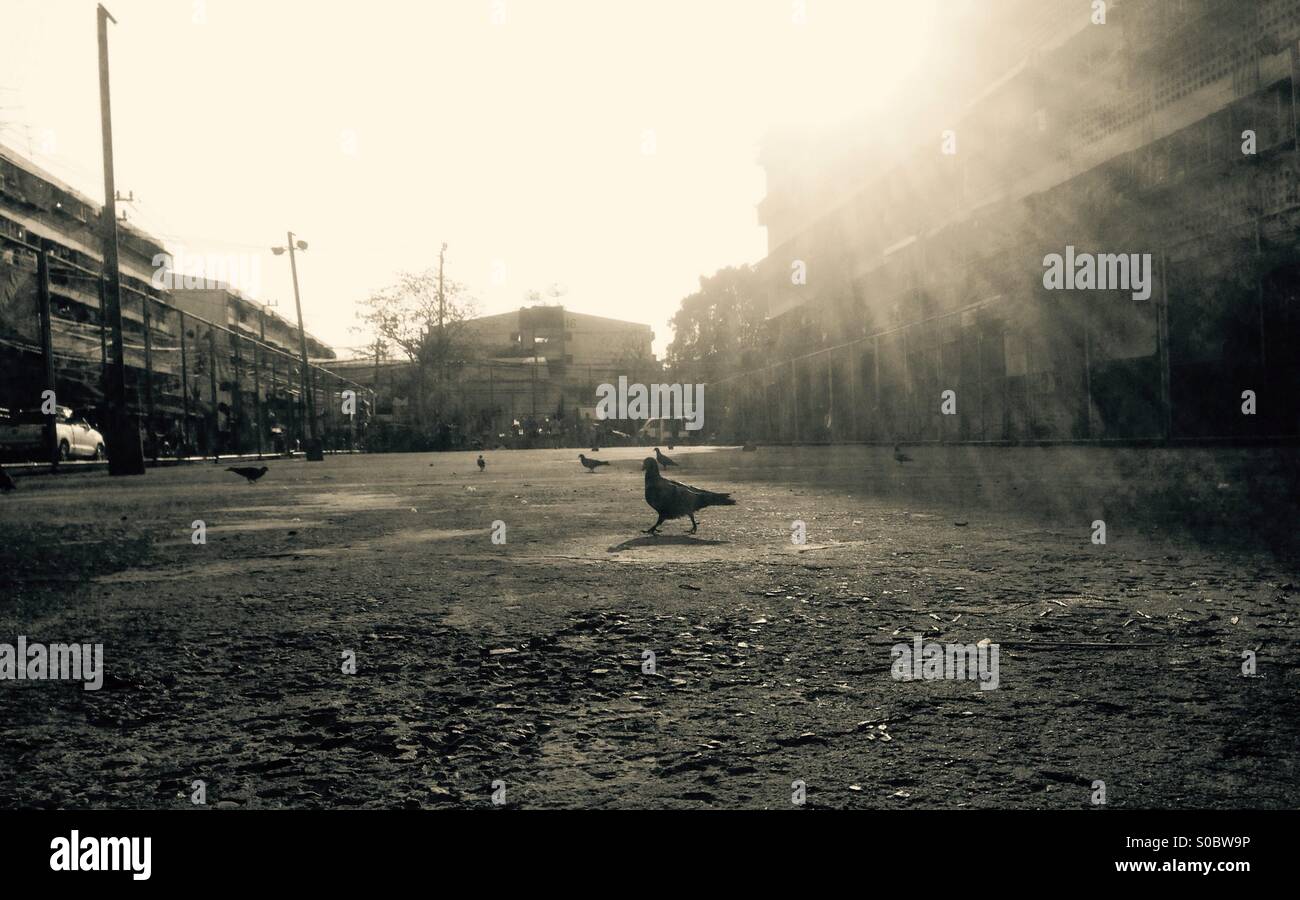 Adverse weather conditions Stock Photo - Alamy