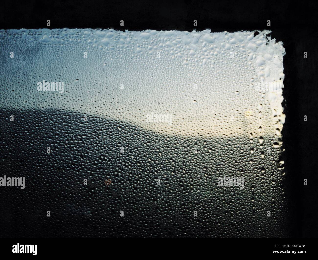 Wet_morning hi-res stock photography and images - Alamy