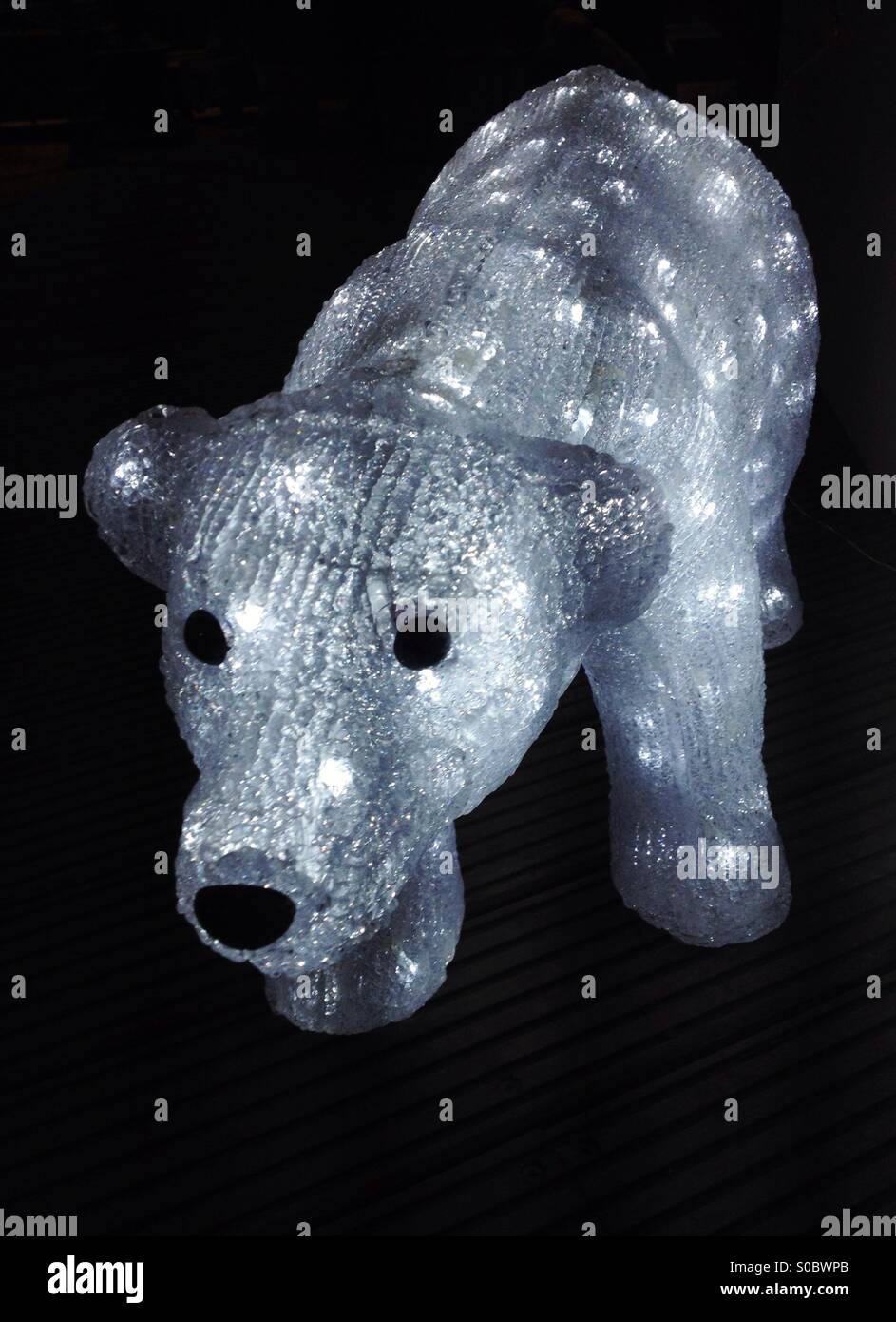 Bear pet hi-res stock photography and images - Alamy