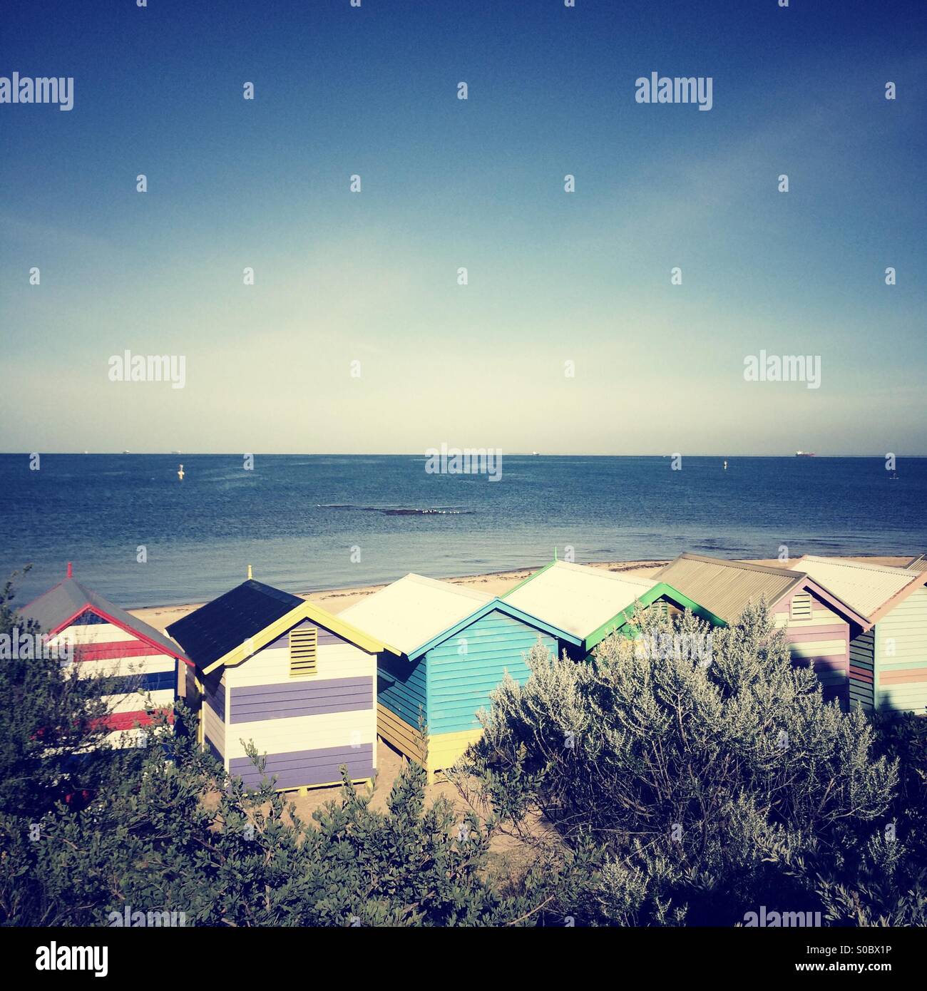 Brighton beach huts australia hi-res stock photography and images - Alamy