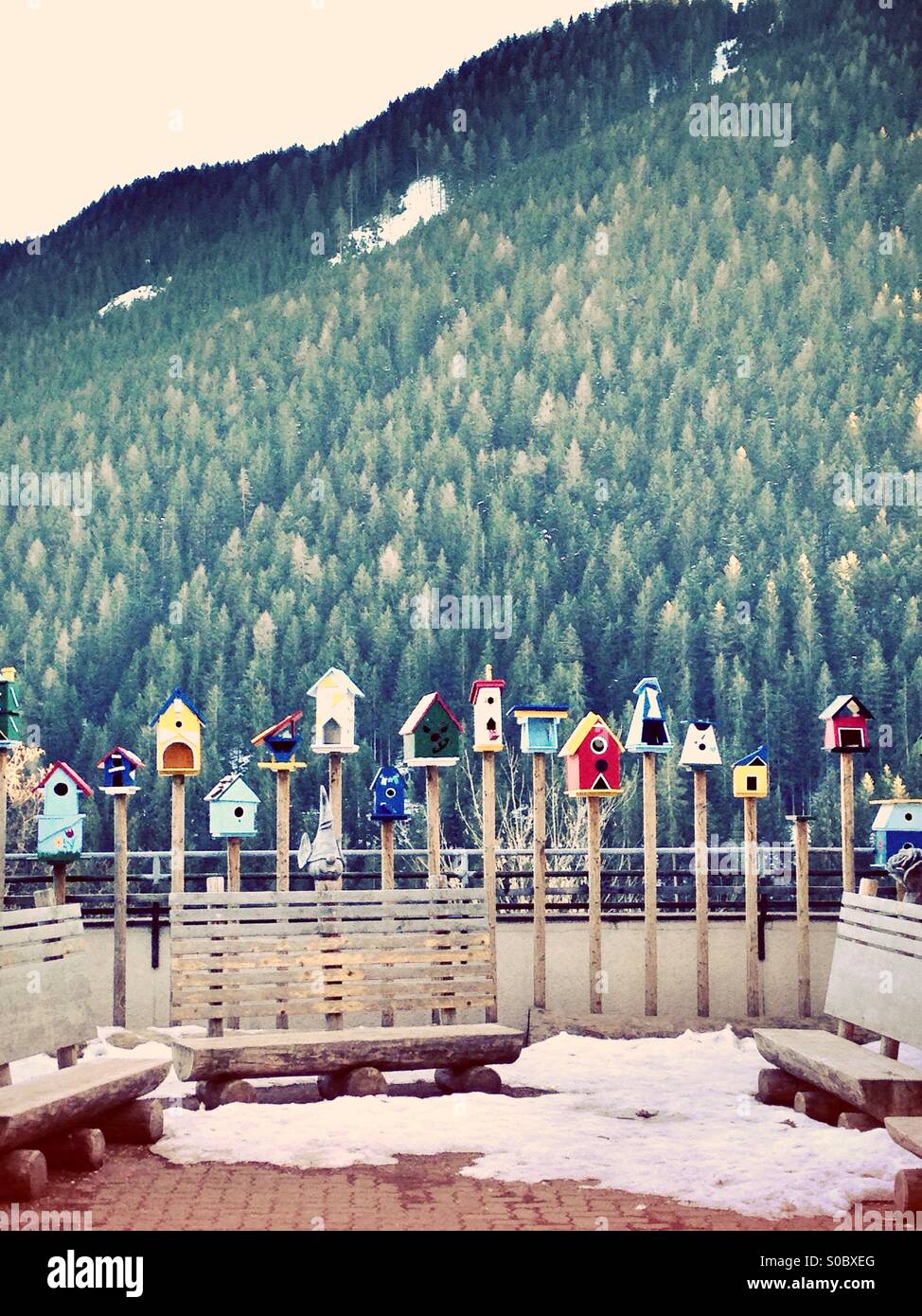 Cages hi-res stock photography and images - Alamy