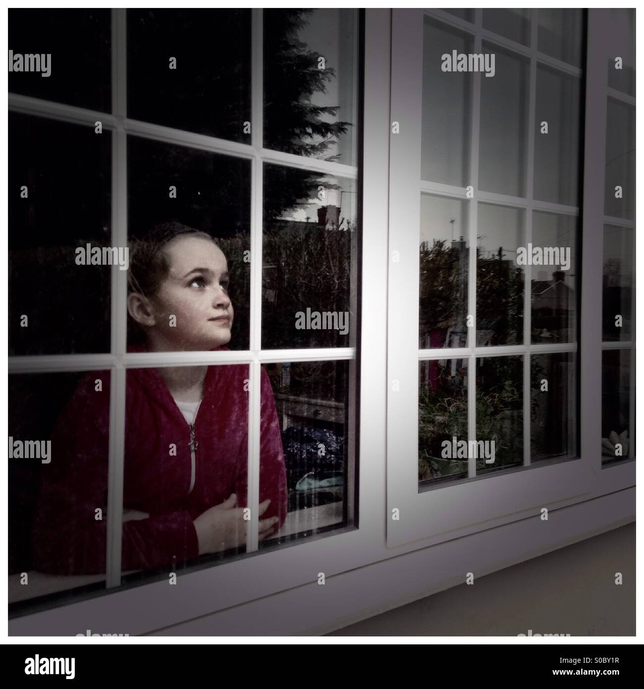 Gazing Through Window High Resolution Stock Photography and Images - Alamy