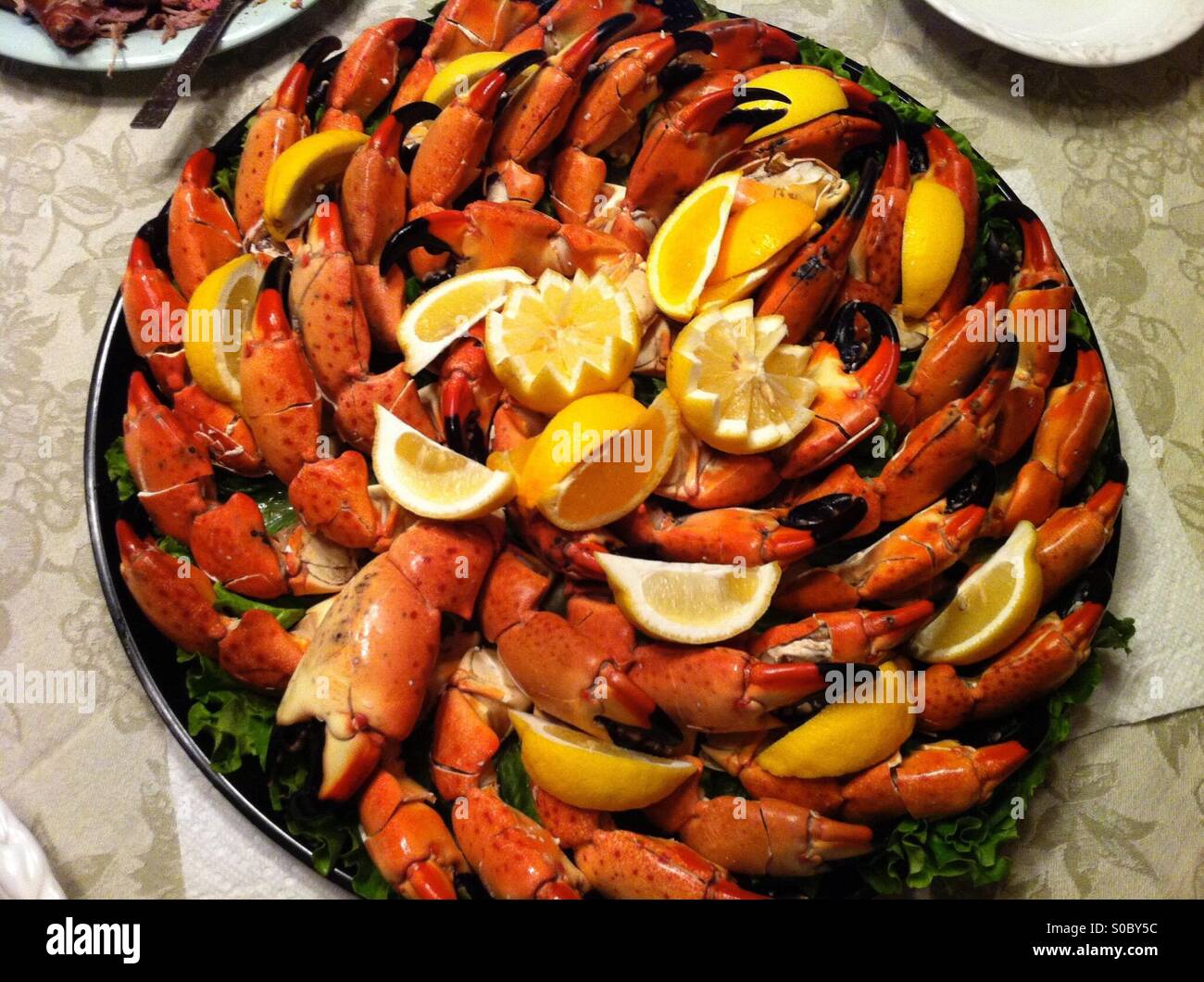Florida stone crab hi-res stock photography and images - Alamy
