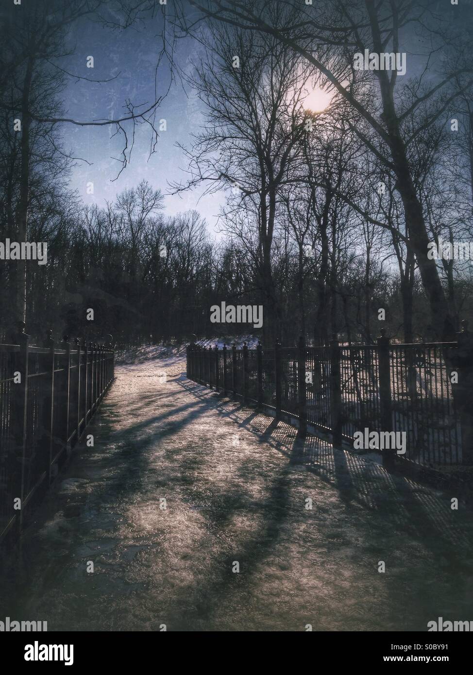 The sun shining through trees over an icy bridge Stock Photo - Alamy