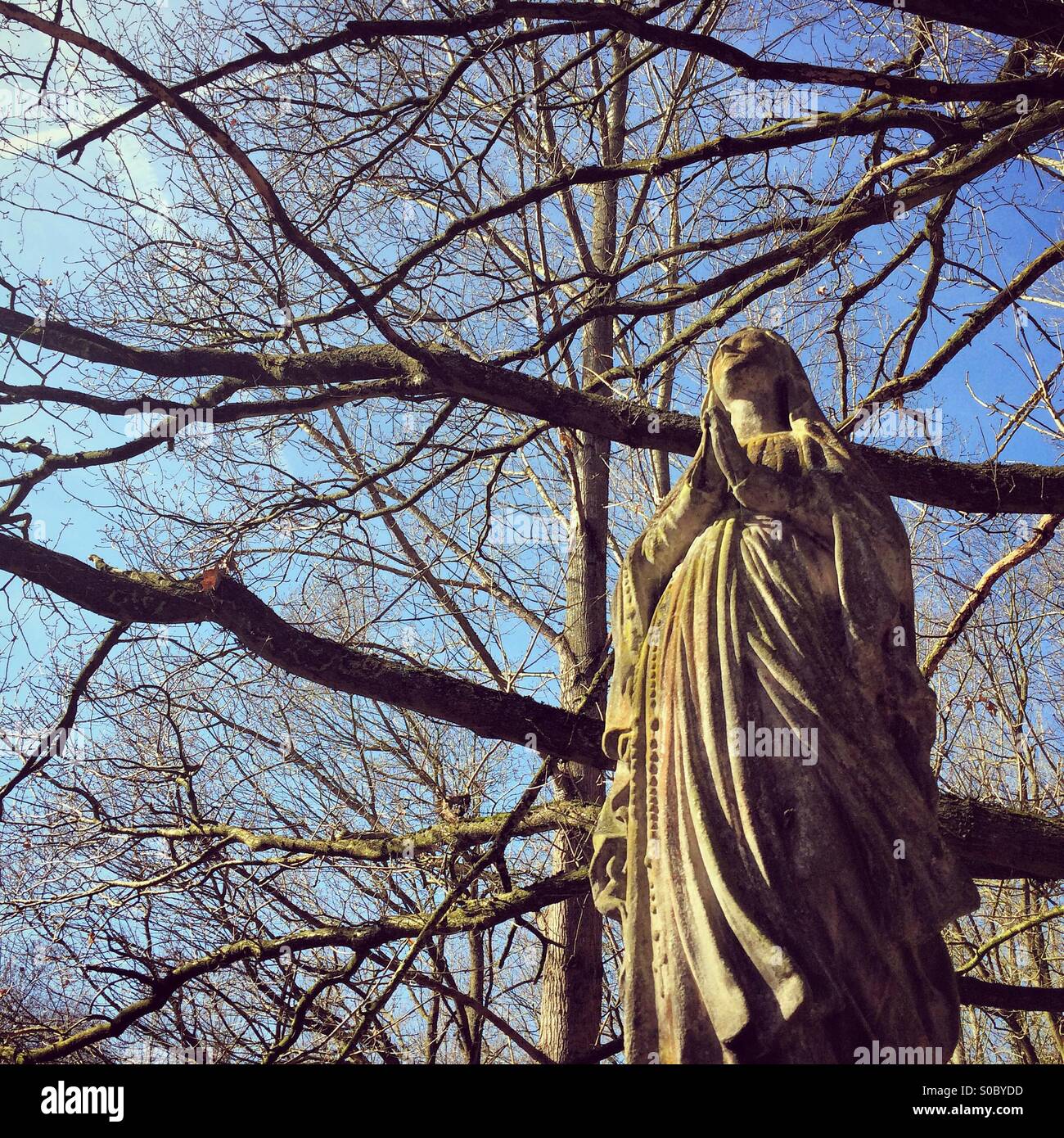 Statue forest hi-res stock photography and images - Alamy